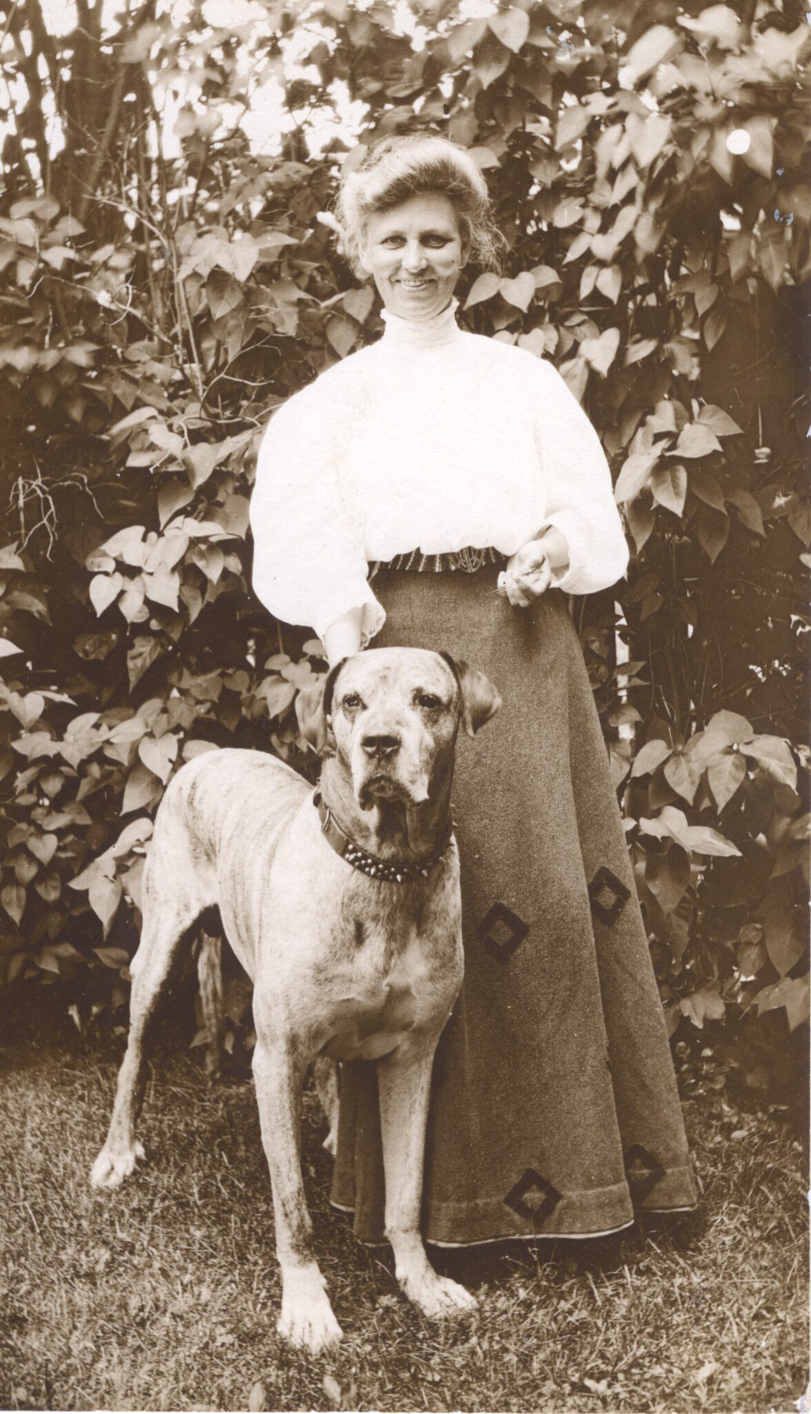 Heritage Foundation of Newfoundland & Labrador Mary Meager Southcott